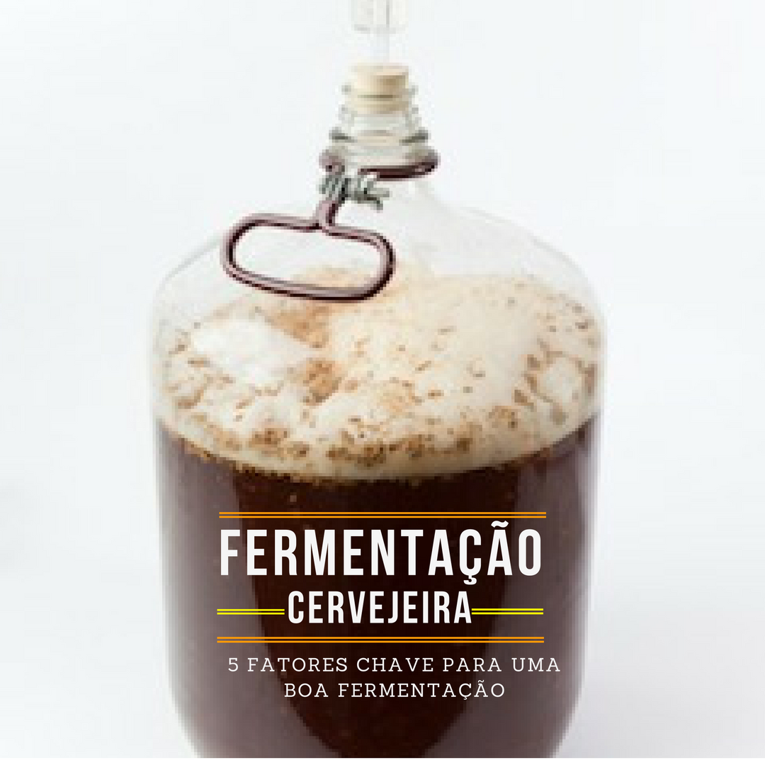 5 fatores chave para uma boa fermentação - Concerveja